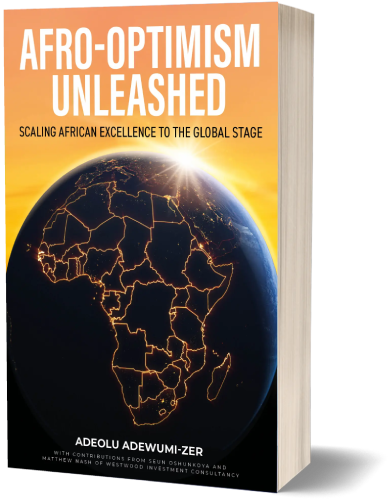ZER Consulting Africa – Build African Excellence for the Global Stage